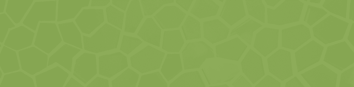 What is a Network Firewall? | Firewall Security - Open Systems